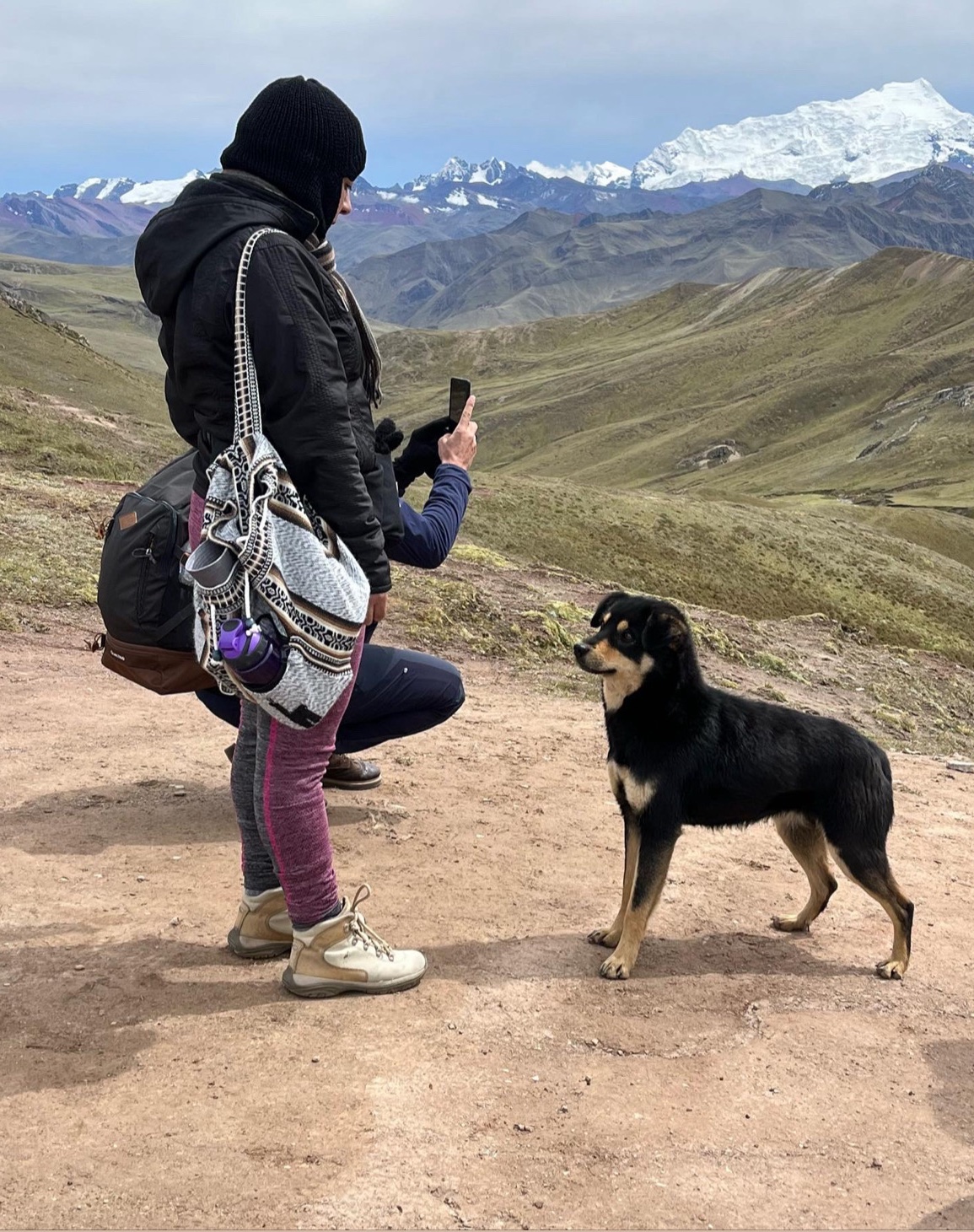 Natural Dog Behavior Around the World | Michael's Dogs Behavior Group