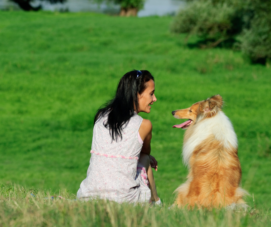 What is my Dog Thinking? | Michael's Dogs Behavior Group